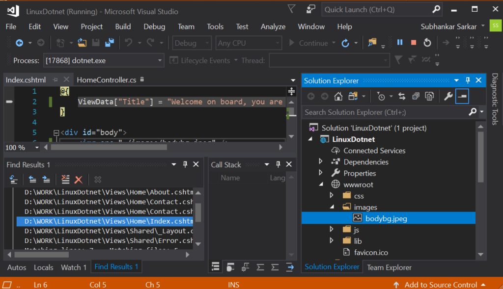 Windows Subsystem for Linux - build ASP.NET Core MVC web application